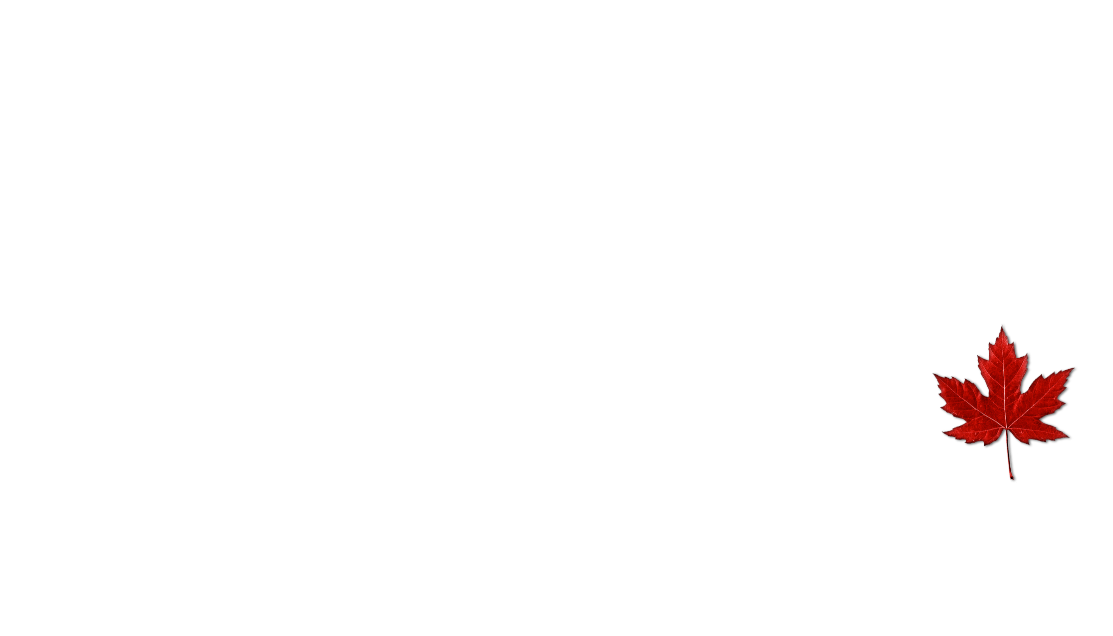Chef Michael’s Story – Seasoned Dining Experiences with Chef Michael Ooms